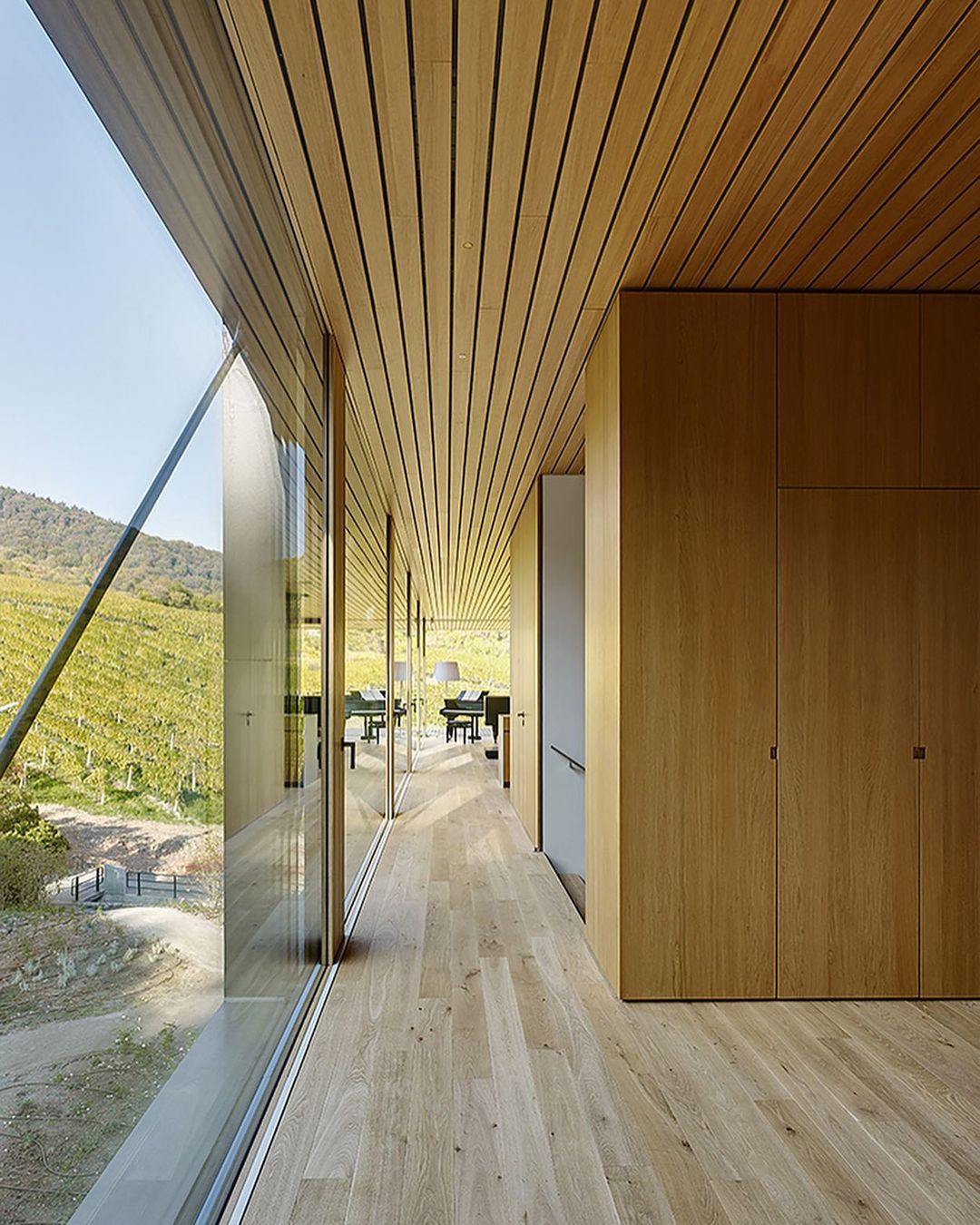House in the Vineyards - Architecture Hunter