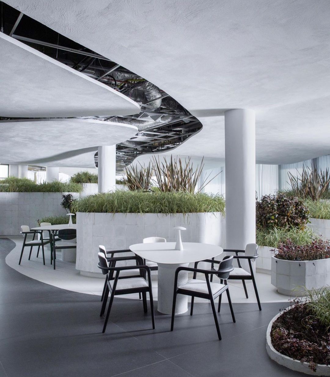 Plants Archives - Architecture Hunter