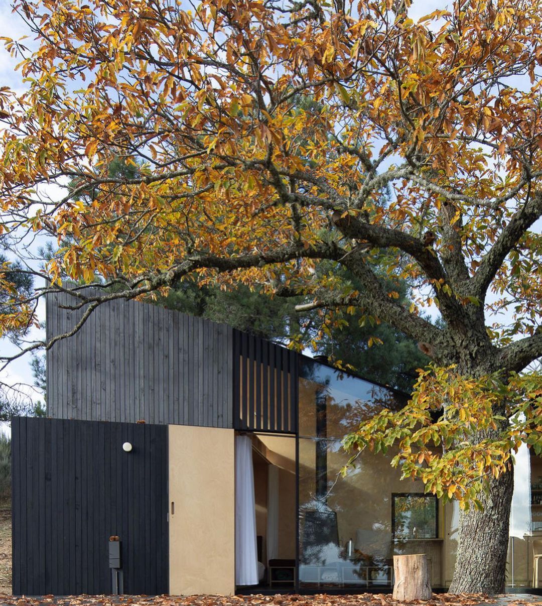 Chestnut House - Architecture Hunter