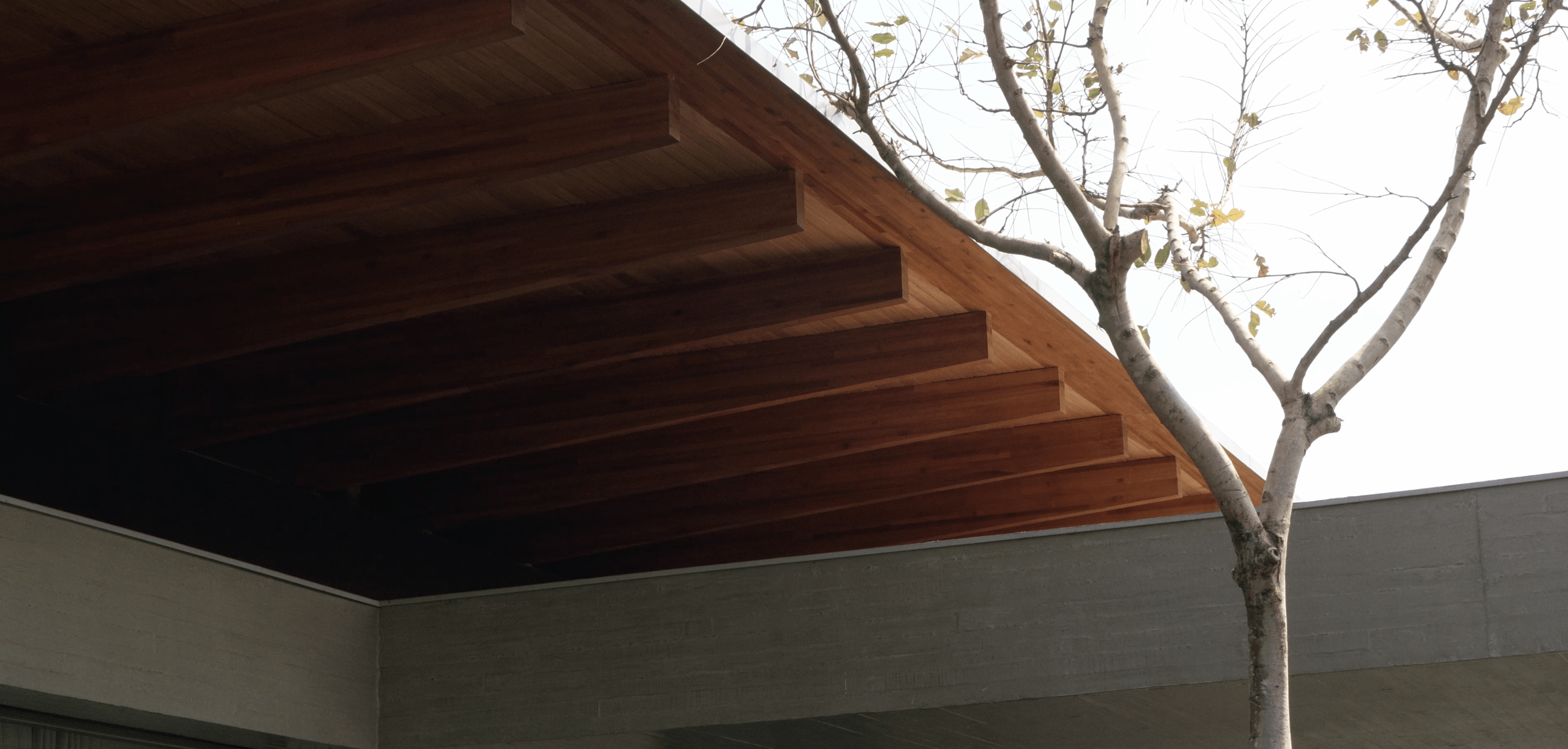 Casa Alva by Felipe Caboclo Arquitetura | Architecture Hunter